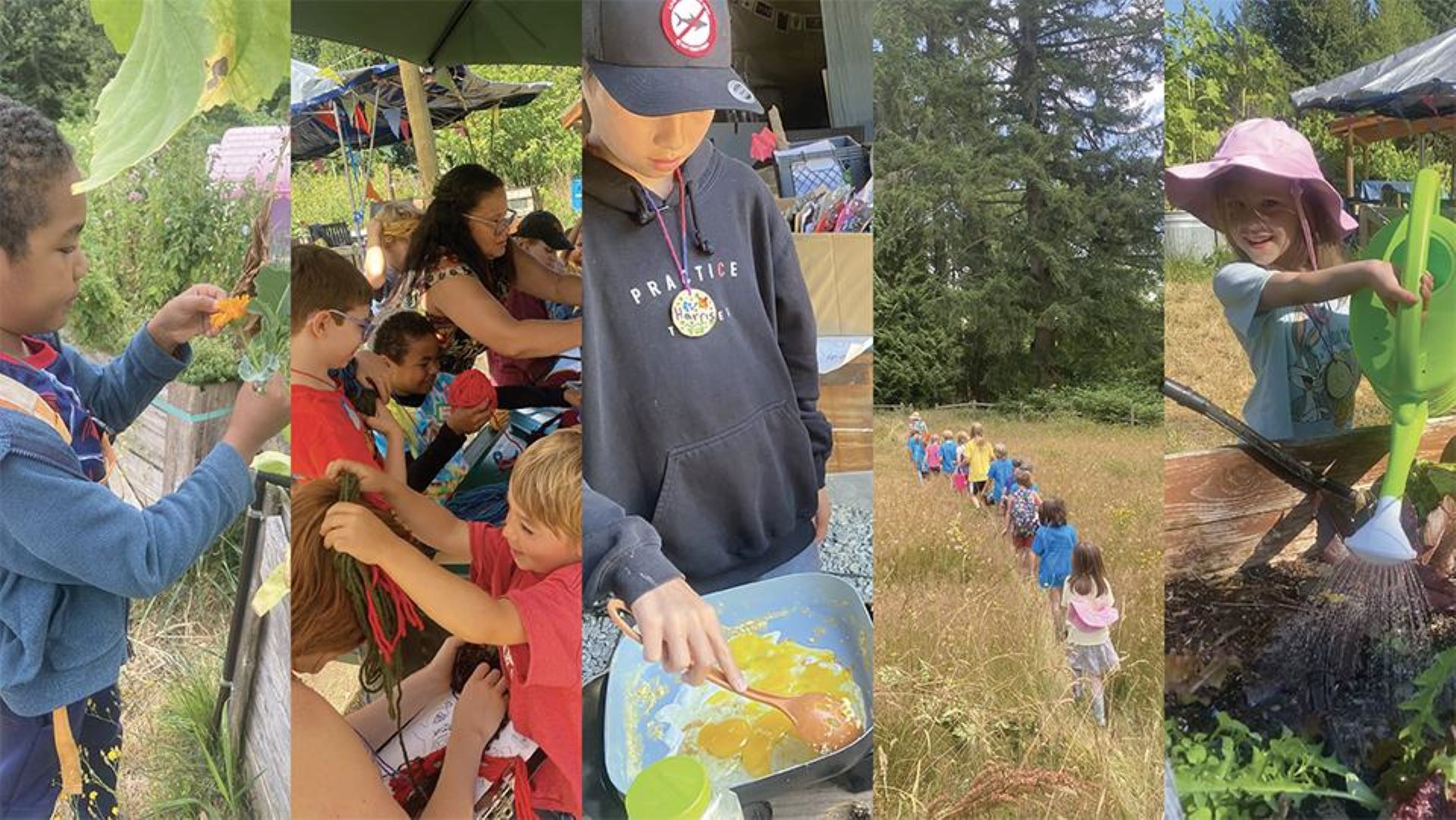 Donate - Farmer Frog